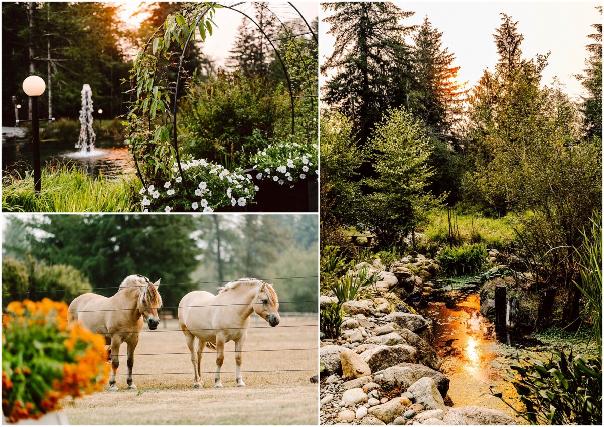 The One with the Wildfire | Gray Bridge Wedding | GSquared Weddings ...